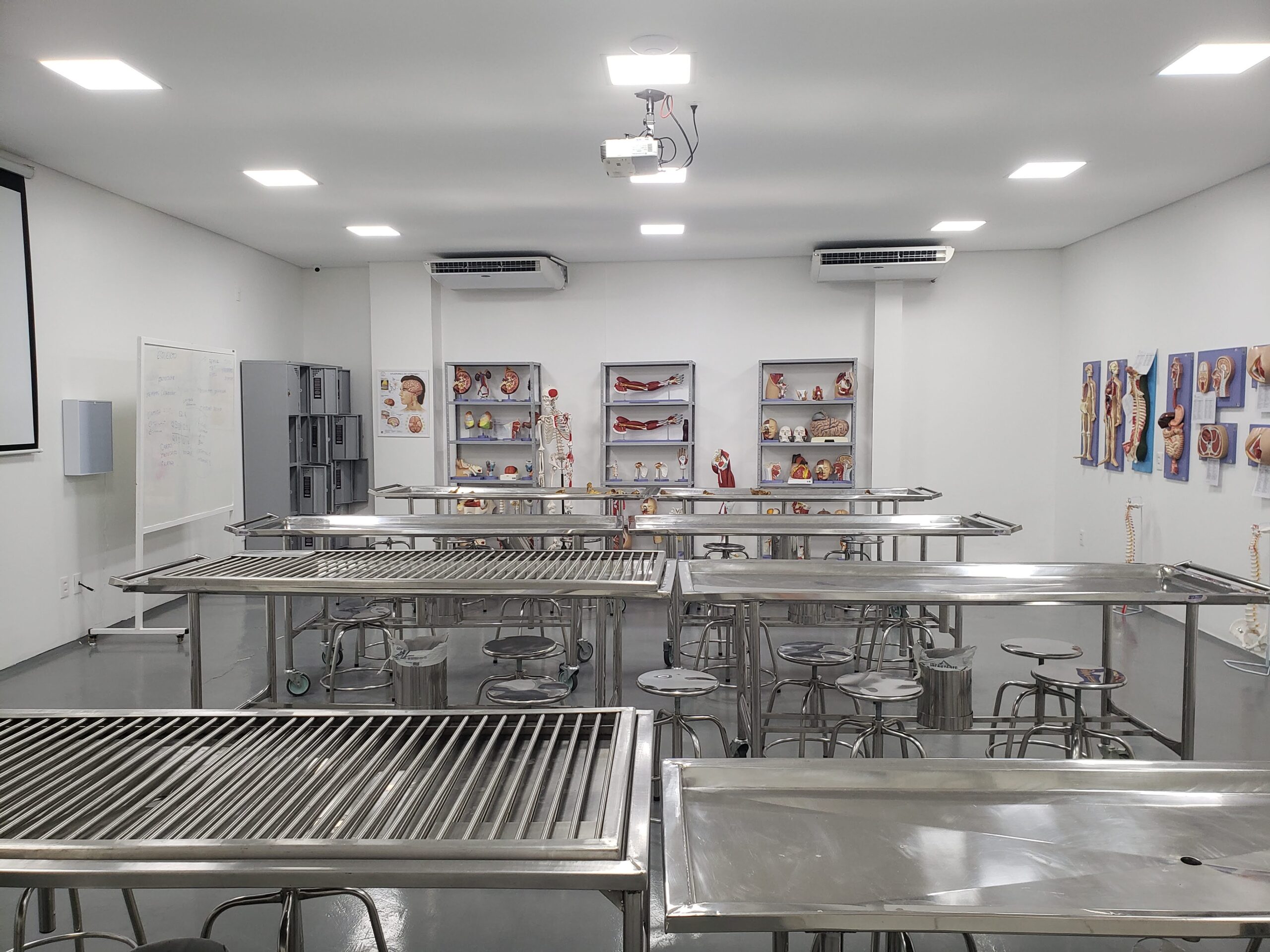 Laboratório de Anatomia - Estude em São Luis na UNDB